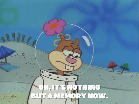 Texas spongebob squarepants season 1 GIF - Find on GIFER