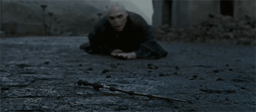 GIF last one - animated GIF on GIFER