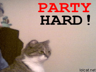 GIF party - animated GIF on GIFER
