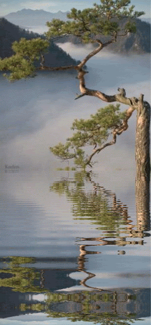 Landscape GIF - Find on GIFER