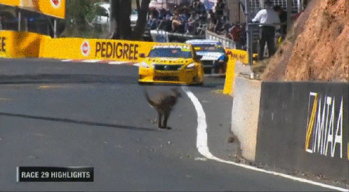 The second greatest story ever told GIF - Find on GIFER