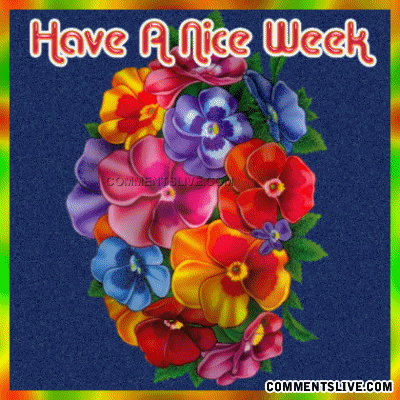 Week GIF - Find on GIFER