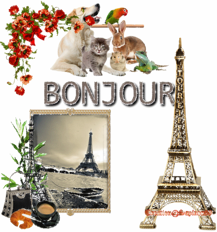 Paris GIF - Find on GIFER