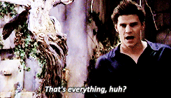 Buffy the vampire slayer GIF - Find on GIFER