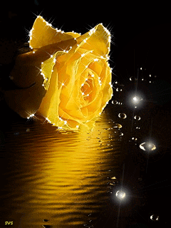 Yellow GIF - Find on GIFER