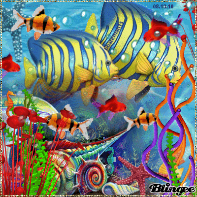 Sea creatures GIF - Find on GIFER