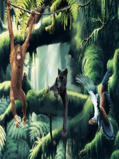 GIF animal - animated GIF on GIFER