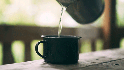 GIF morning glory - animated GIF on GIFER