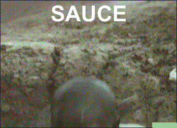 Sauce GIF - Find on GIFER
