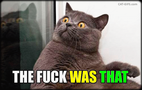 GIF memes - animated GIF on GIFER