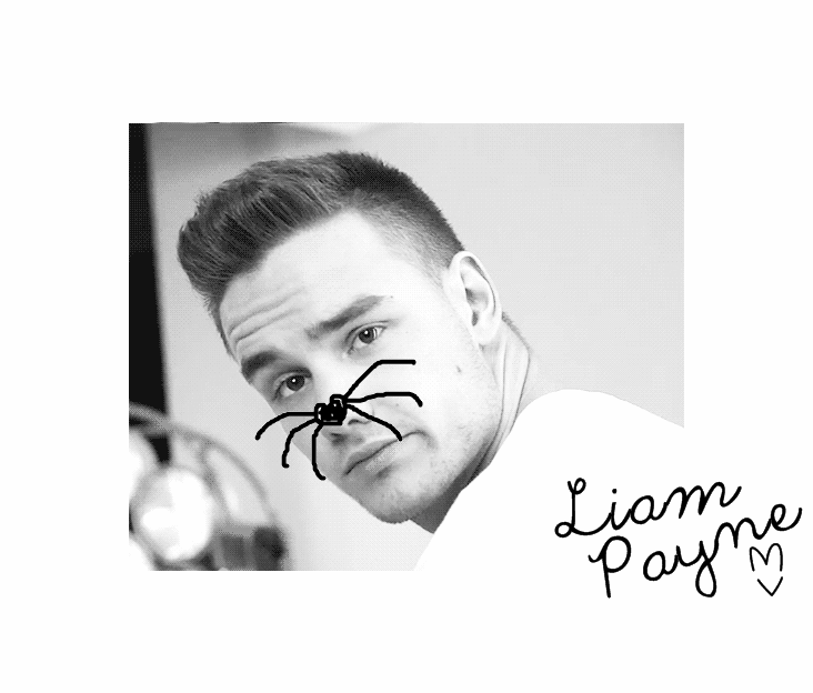 GIF one direction liam payne liam - animated GIF on GIFER