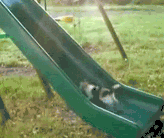 Day GIF - Find on GIFER