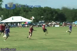 Nice catch GIF - Find on GIFER