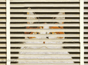 Good page thread GIF - Find on GIFER