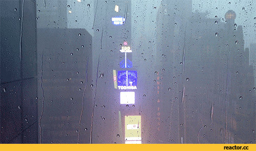 Window GIF - Find on GIFER