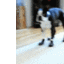 Dog awkward walk GIF - Find on GIFER