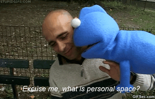 GIF stupid - animated GIF on GIFER