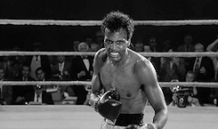 Raging bull sports GIF - Find on GIFER