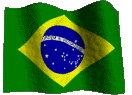 Brasil GIF - Find on GIFER