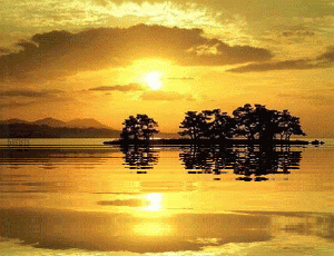 GIF landscape - animated GIF on GIFER