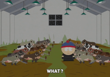 Stan marsh GIF - Find on GIFER