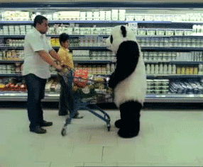 Funny panda fantasy GIF - Find on GIFER
