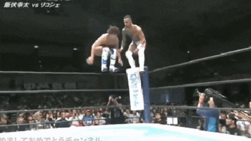 GIF wrestling cool satisfying - animated GIF on GIFER