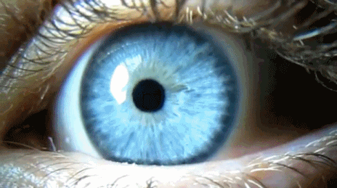 Blue eyes eye GIF - Find on GIFER