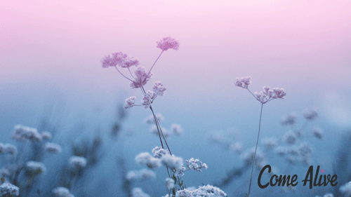 El Mejor Gif Animado De Todos Los Tiempos Gif Animados