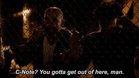 GIF fox prison break - animated GIF on GIFER