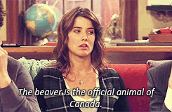 "Why is my query taking so long?" : r/programminghorror