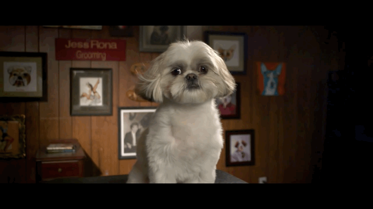 Transparent power GIF - Find on GIFER