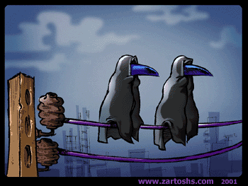 Crows GIF - Find on GIFER