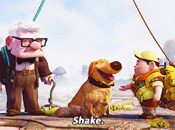 Up cartoons comics GIF - Find on GIFER