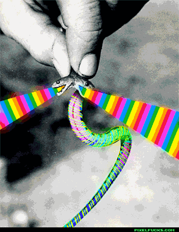 GIF weird - animated GIF on GIFER