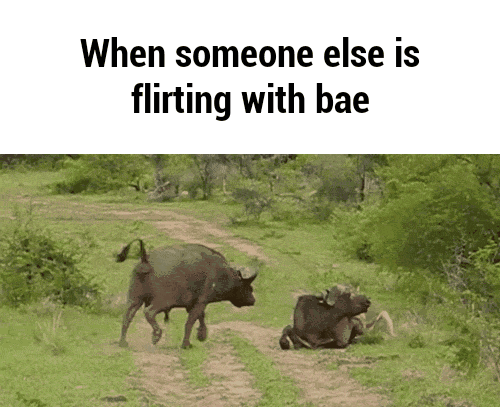 Flirting GIF - Find on GIFER