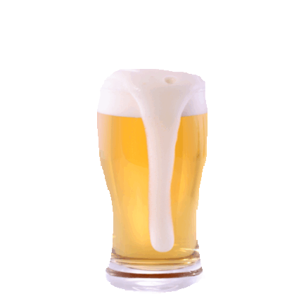 Beer GIF - Find on GIFER