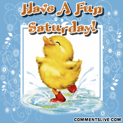 Fun GIF - Find on GIFER