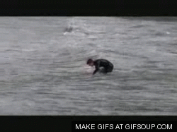 Falling down GIF - Find on GIFER