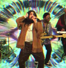 GIF reactiongifs - animated GIF on GIFER