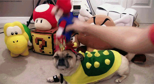GIF dog gaming mario - animated GIF on GIFER