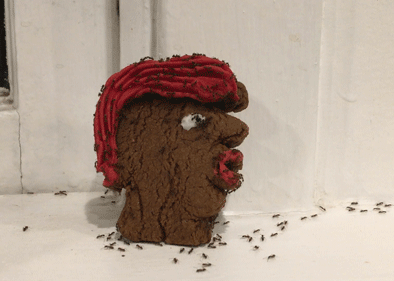 Diving GIF on GIFER - by Tezan