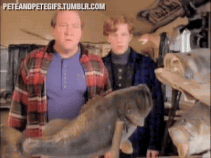 GIF make it stop - animated GIF on GIFER