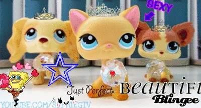 Popular GIF - Find on GIFER