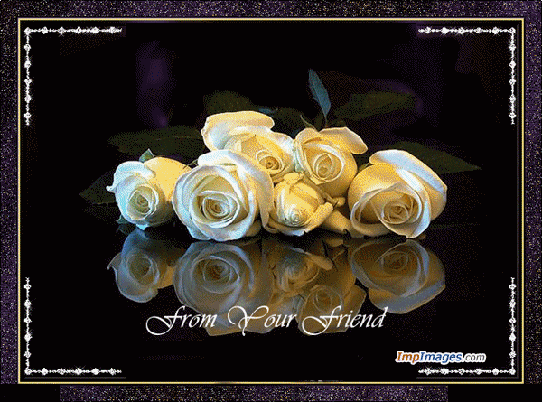 Friendship GIF - Find on GIFER