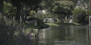 GIF transparent los angeles - animated GIF on GIFER