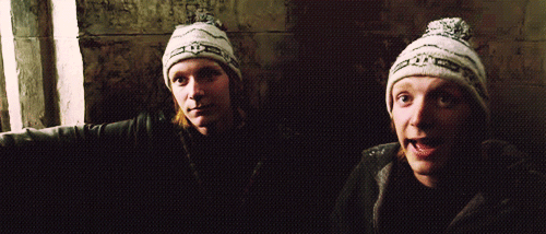 GIF everyone - animated GIF on GIFER