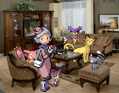 Cat pokemon GIF - Find on GIFER