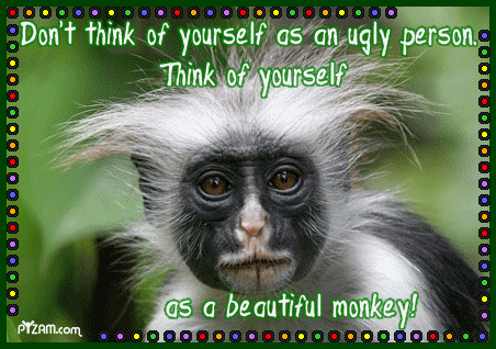 GIF monkey - animated GIF on GIFER