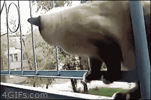 Way GIF - Find on GIFER